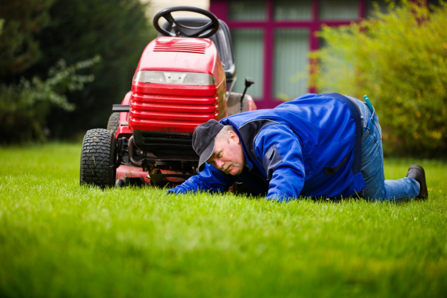 Preparing Your Alberta Lawn for Fall: A Comprehensive Guide - Weed ...