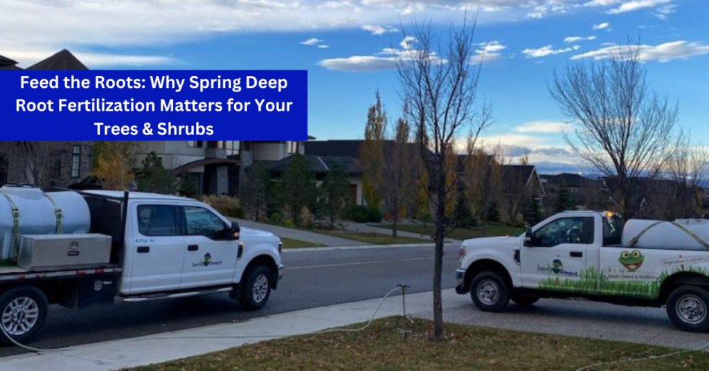Feed the Roots: Why Spring Deep Root Fertilization Matters for Your ...